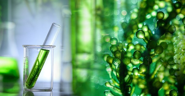 BRAIN BIOTECH - Ist das schon die große Trendwende? | stock3