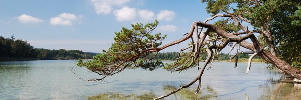 KNAUS TABBERT - Diese Zahlen begeistern die Anleger | stock3