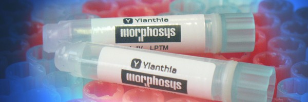 MORPHOSYS - Das ist ganz bitter | stock3